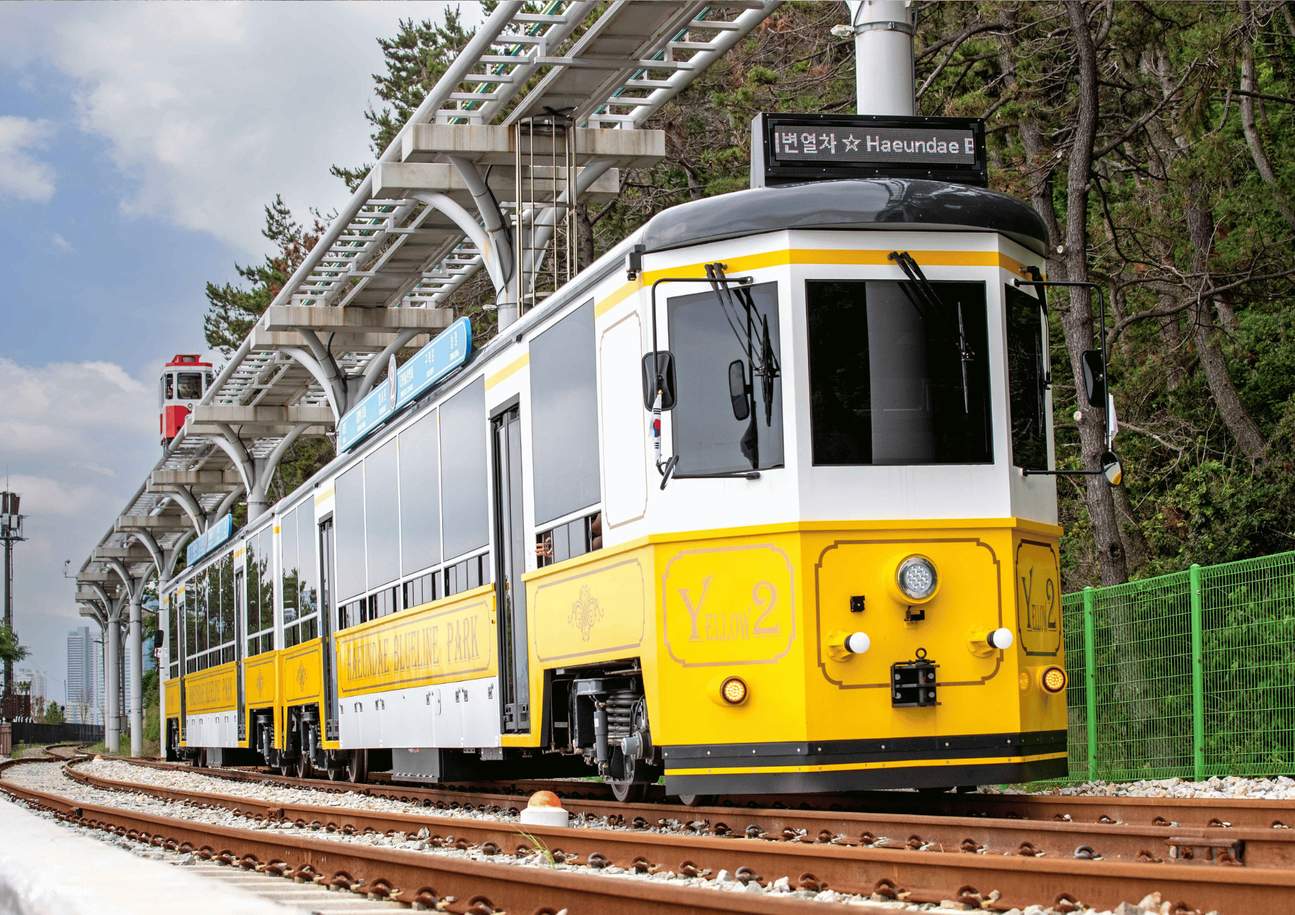 Busan Highlights Tour: Yonggungsa, Gamcheon, and Songdo Trails - Klook